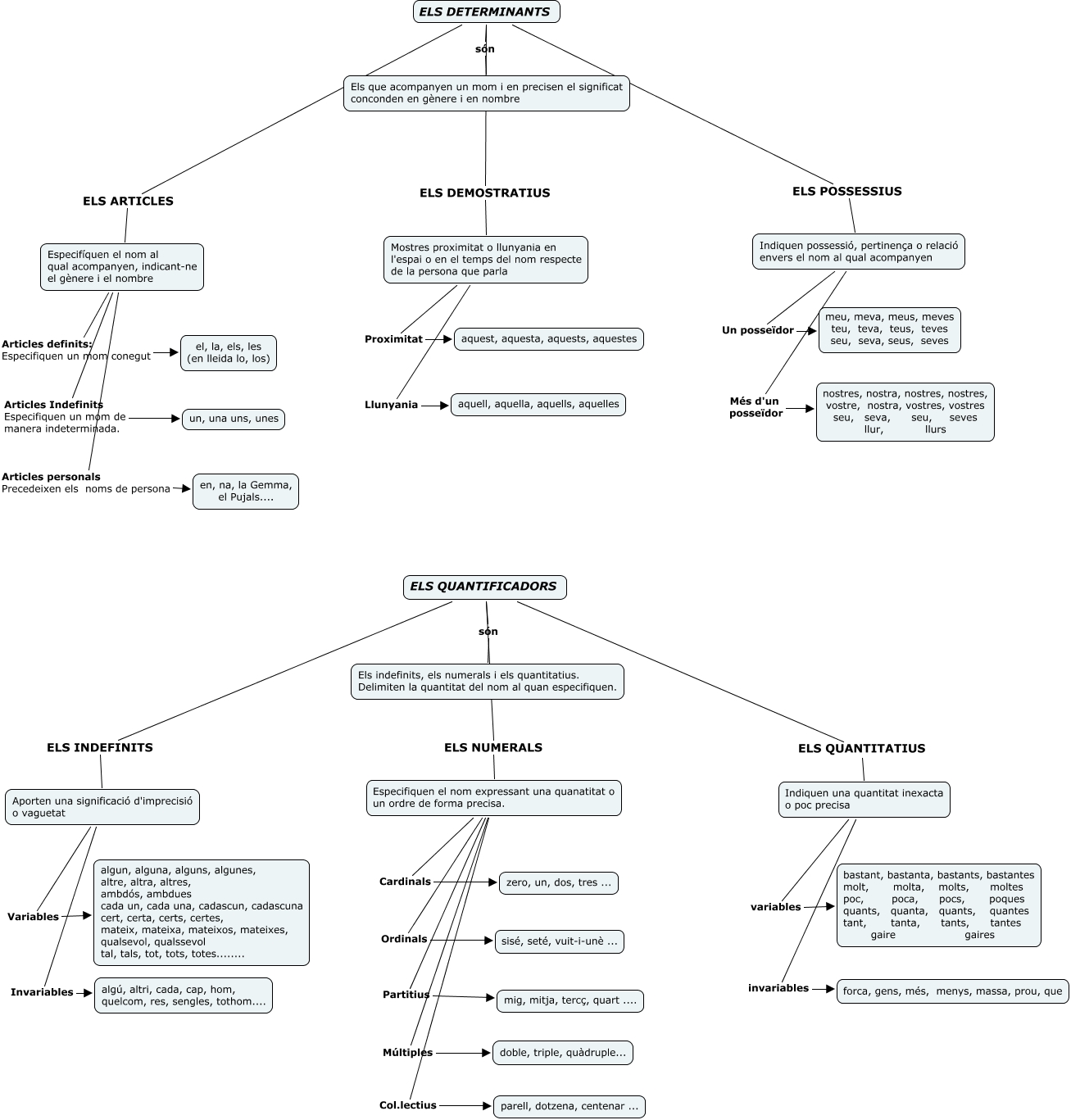 TEMA 2 - DETERMINANTS I ELS QUANTIFICADORS